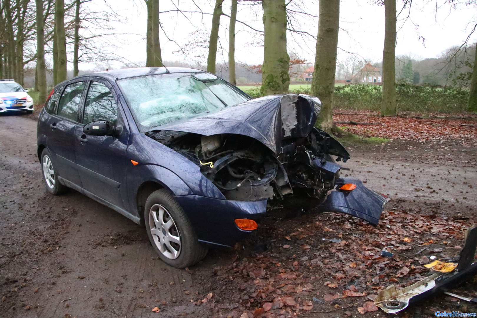 Auto botst tegen boom, bestuurder raakt gewond - GelreNieuws