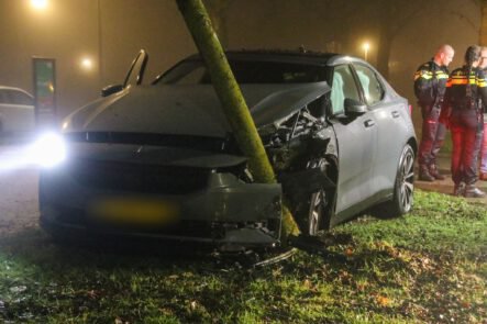 Automobilist botst tegen boom in Arnhem-Zuid - GelreNieuws