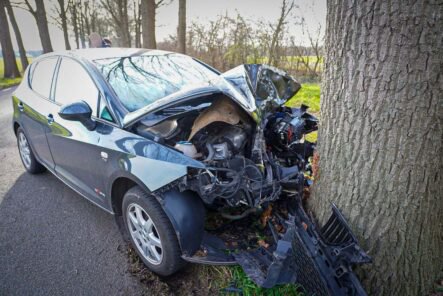 Auto klapt frontaal op boom: bestuurder naar ziekenhuis - GelreNieuws