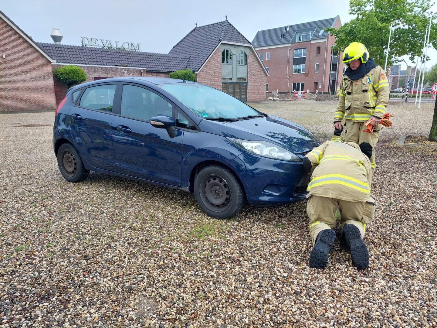 Steenmarter zorgt voor grote uitruk van hulpdiensten in Huissen - GelreNieuws