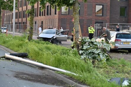 Snelheidsduivel verliest macht over stuur en crasht tegen boom in Arnhem - GelreNieuws
