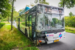 Lijnbus botst tegen boom door overstekende hond - GelreNieuws