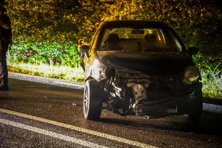 Automobilist ontwijkt kat en botst tegen vangrail - GelreNieuws